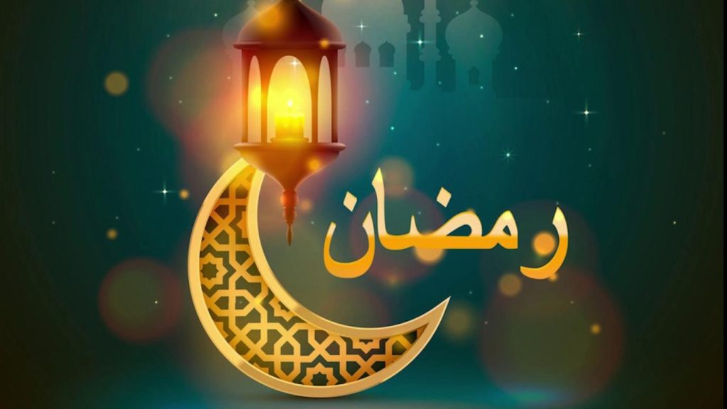 الرئيسية | البطريق نيوز